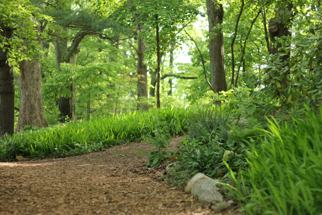 Parks and Recreation Master Plan - Plan Roanoke